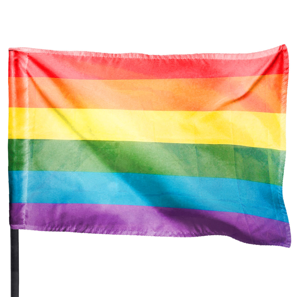 Extra Large Asexual Pride Flag 5ft X 3ft 150 X 90cm Ecobargains