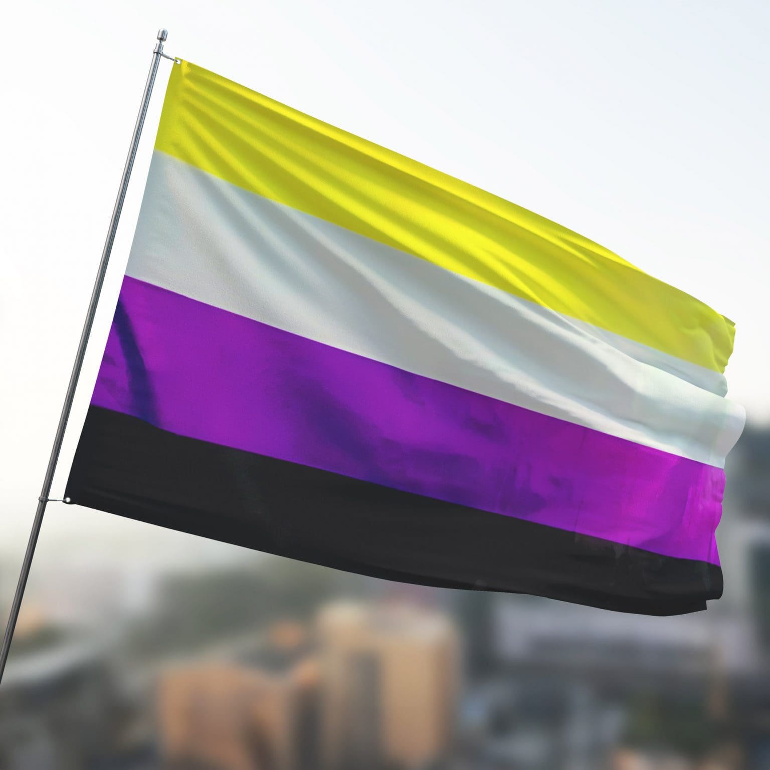 Extra Large Non Binary Pride Flag 5ft x 3ft (150 x 90cm) - EcoBargains